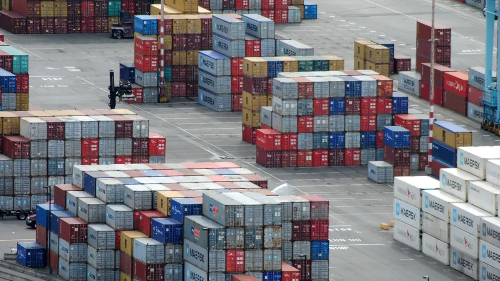 MU insights | Customs Inspections: What Happens in Customs Checking?